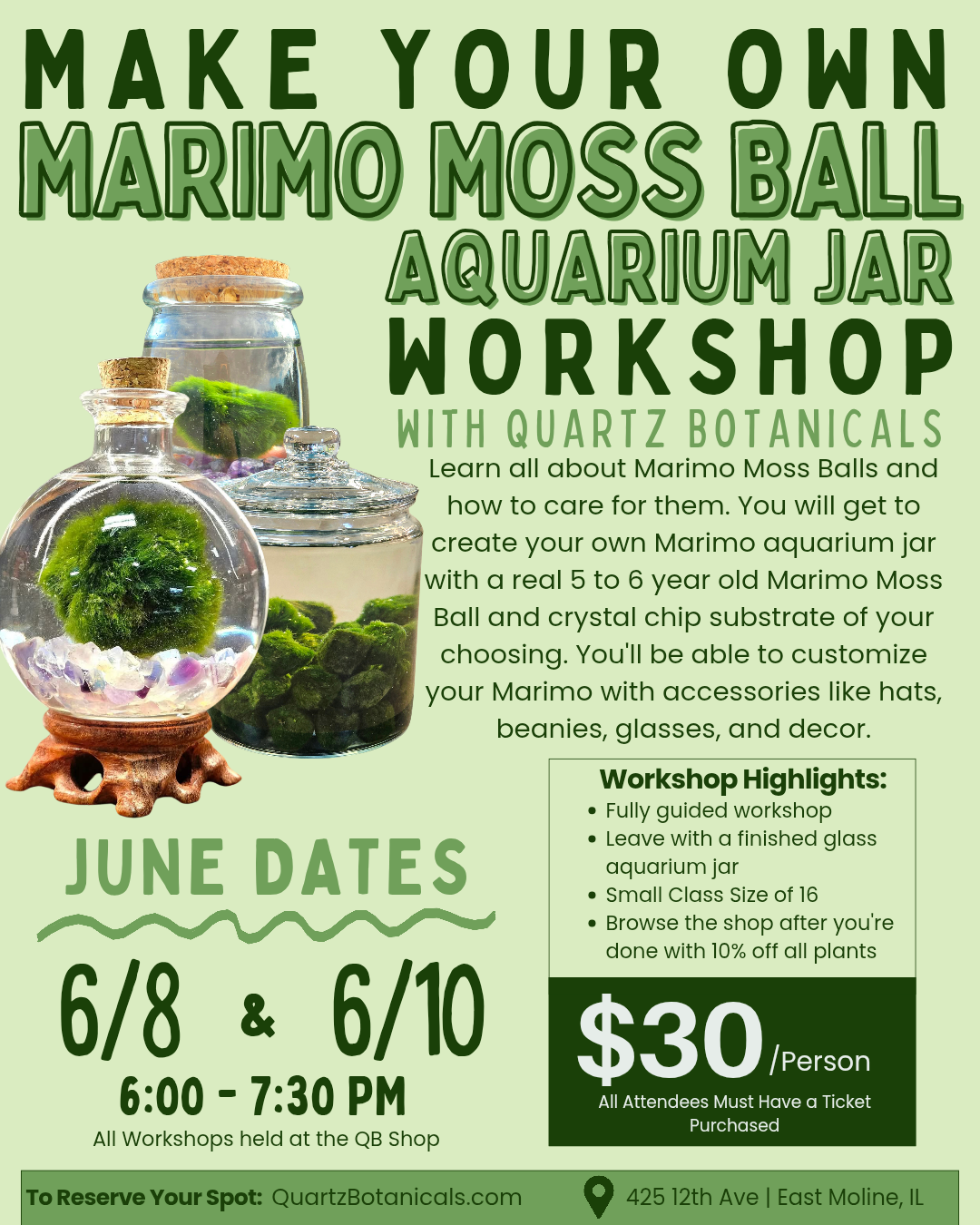 6/8/25 - Make Your Own Marimo Moss Ball Aquarium Jar Workshop – Quartz ...